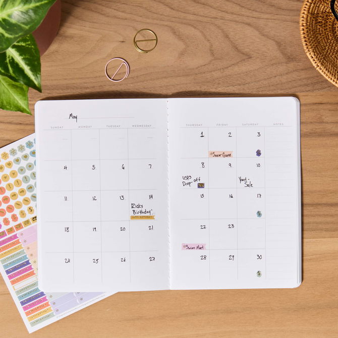 Undated Weekly Planner PetitePlanner | Erin Condren