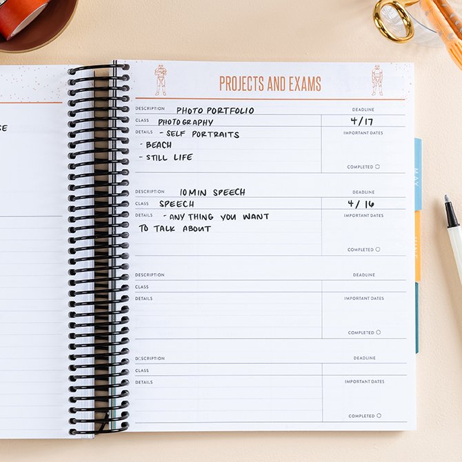 Special Edition Star Wars Metallic Millennium Falcon™ Academic Planner ...