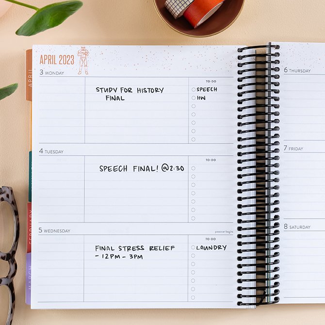 Special Edition Star Wars Metallic Millennium Falcon™ Academic Planner ...