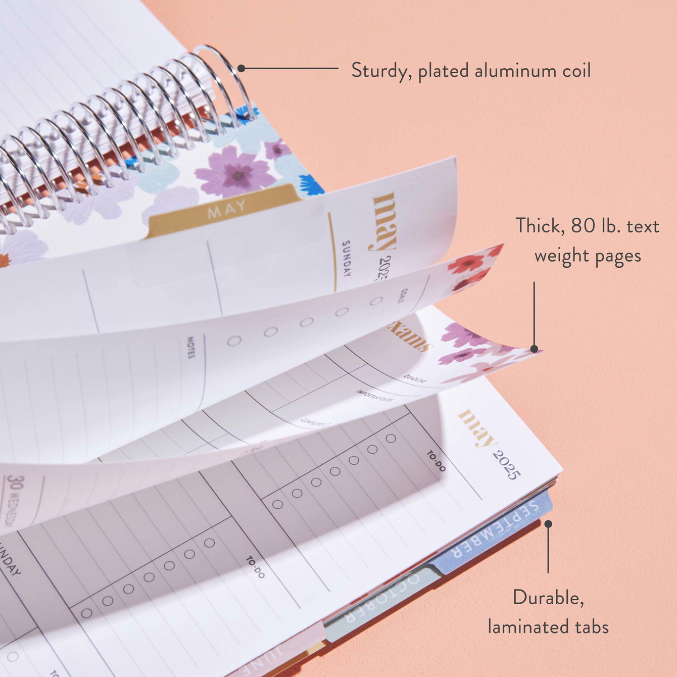 Petal Pop Academic Planner | Erin Condren