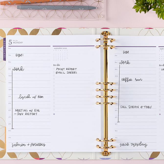Daily and Weekly Planner Binders | Erin Condren