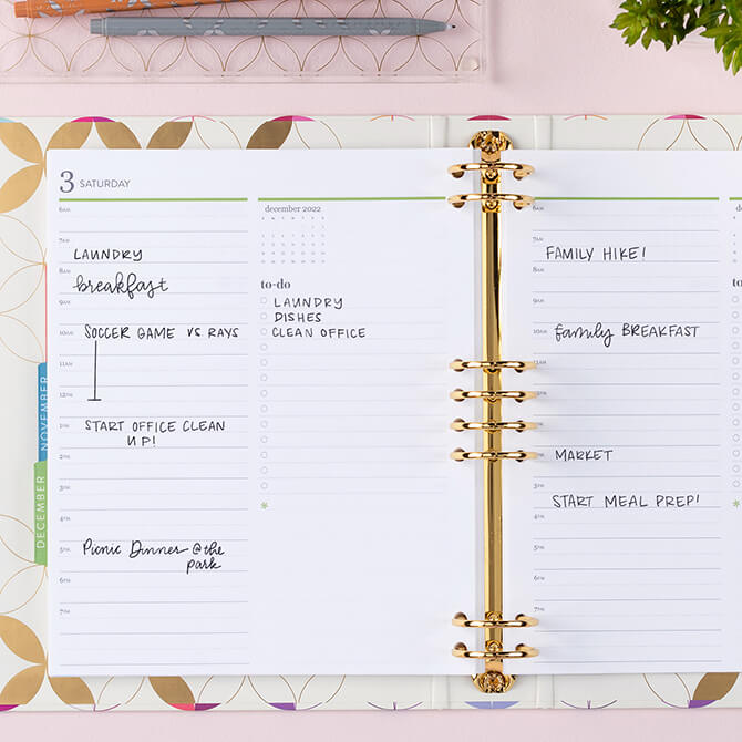 Daily and Weekly Planner Binders | Erin Condren