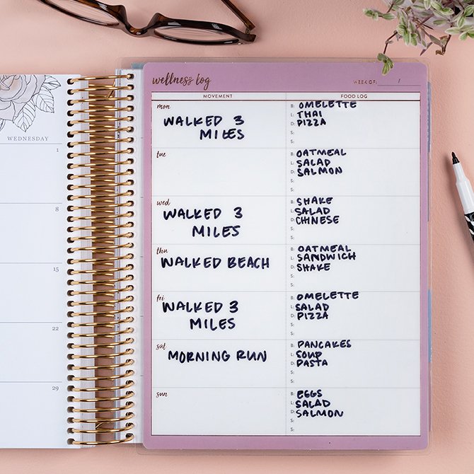 Snap-In Wellness Goal Tracker Dashboard | Erin Condren