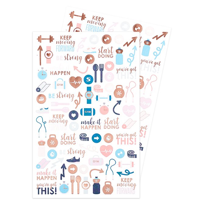 Wellness Log Decorative Sticker 2-Pack | Erin Condren