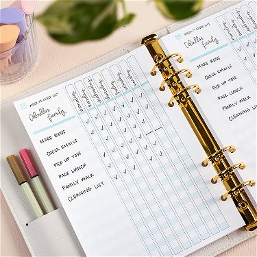 Checklist Pages A5 Ring Agenda Inserts | Erin Condren