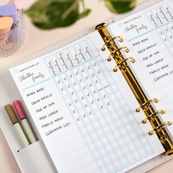 Checklist Pages A5 Ring Agenda Inserts | Erin Condren