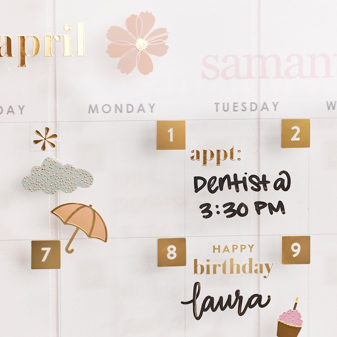 Acrylic Wall Calendar Clings | Erin Condren