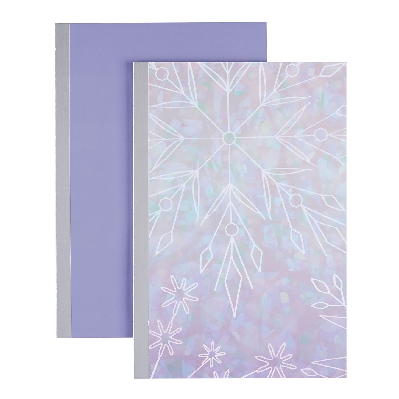 Winter Metallic Spine Notebook Duo | Erin Condren