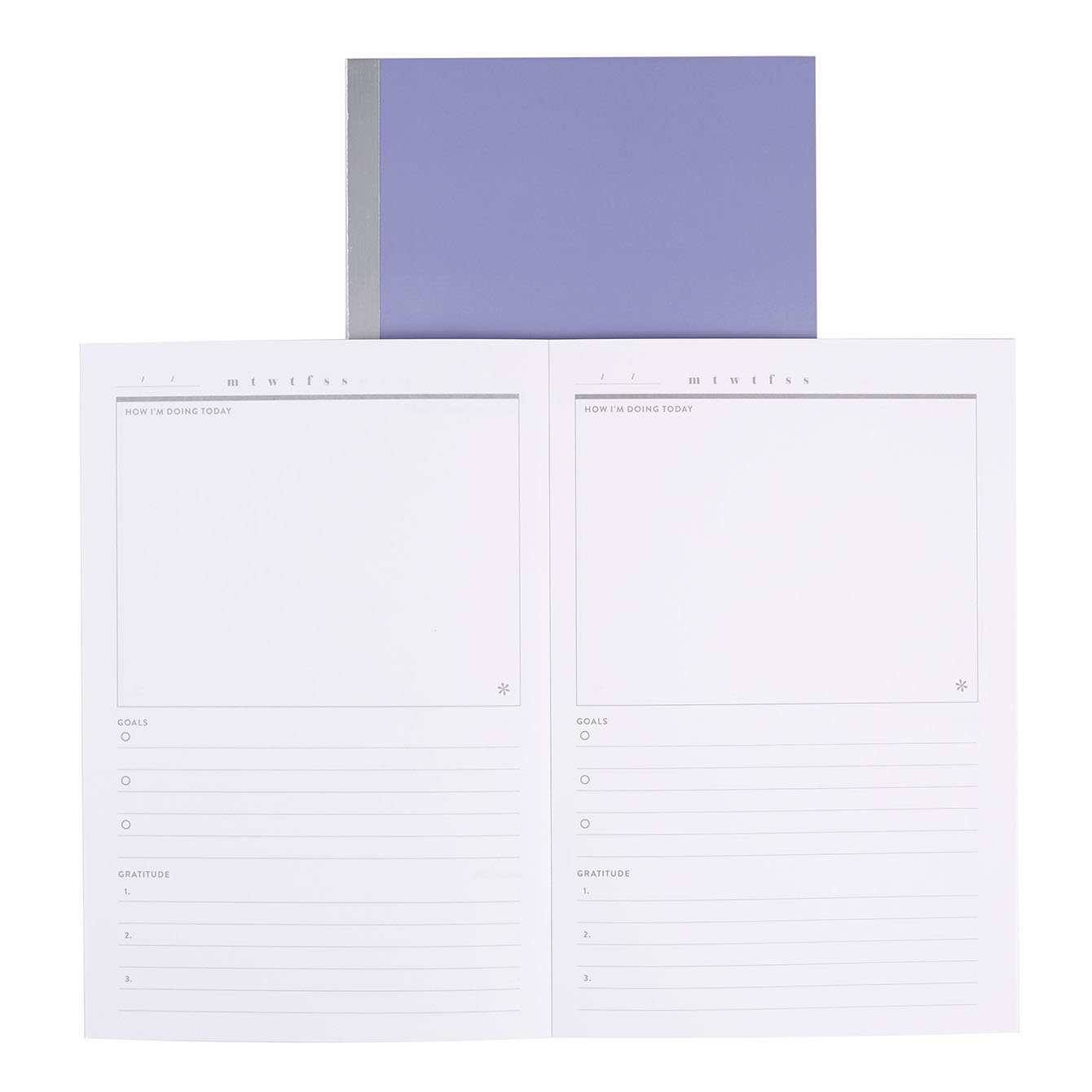 Winter Metallic Spine Notebook Duo | Erin Condren