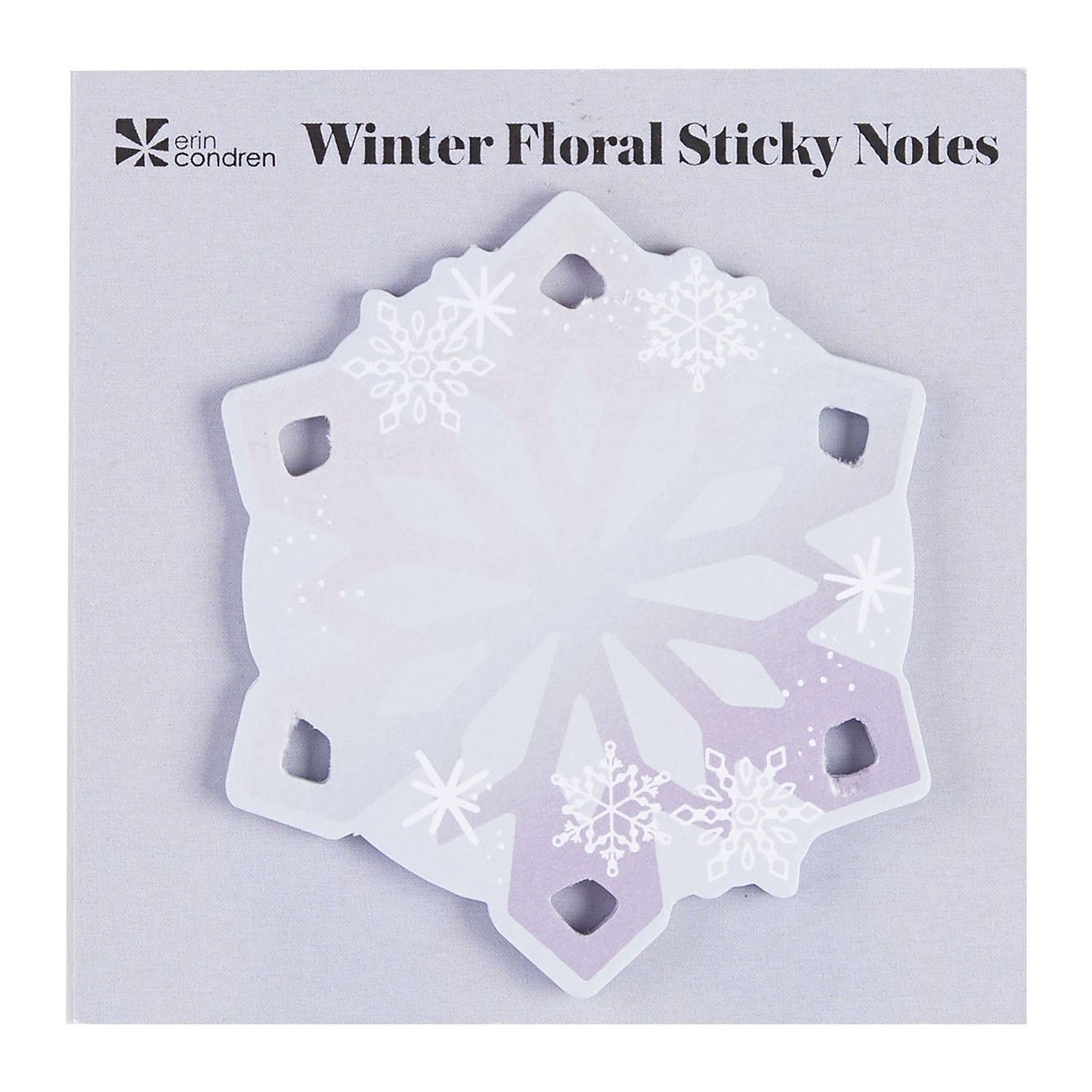 Winter Snowflake Sticky Notes | Erin Condren