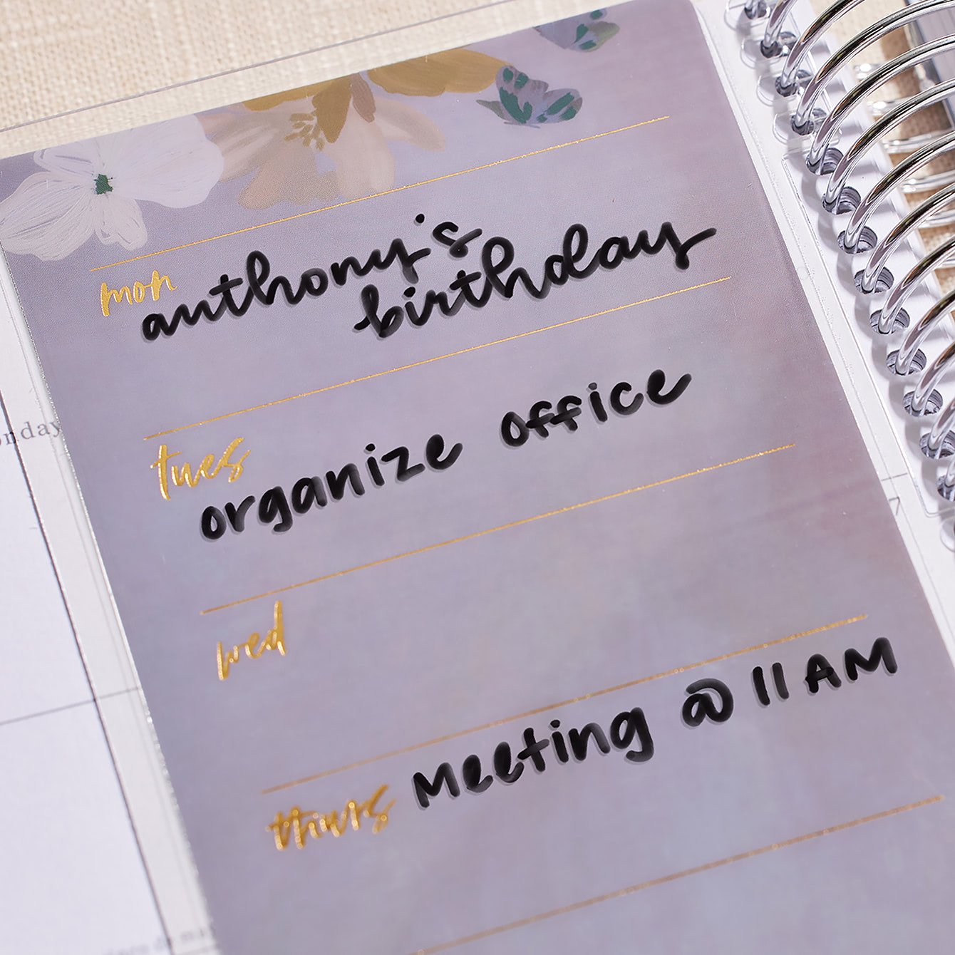 Bold Blooms Universal Snap-In Weekly Dashboard | Erin Condren