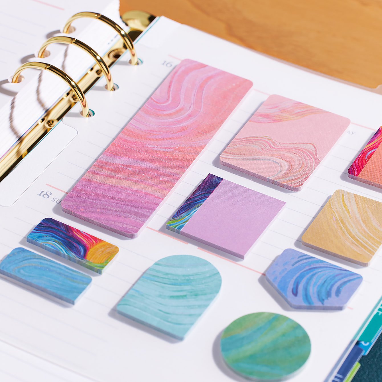 Evolve A5 Ring Agenda StylizedSticky™ Notes | Erin Condren