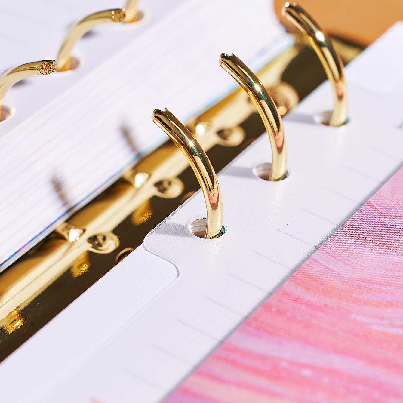 Evolve A5 Ring Agenda StylizedSticky™ Notes | Erin Condren