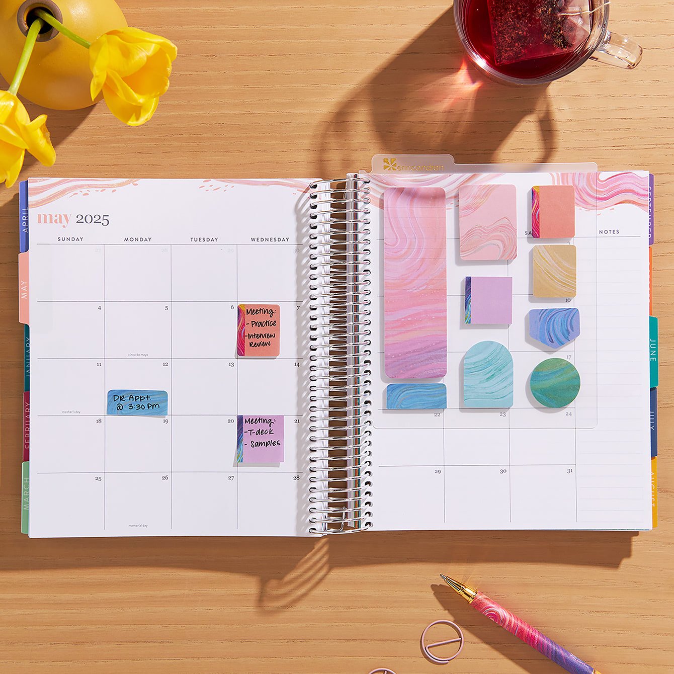 Evolve Universal Snap-In StylizedSticky™ Notes | Erin Condren