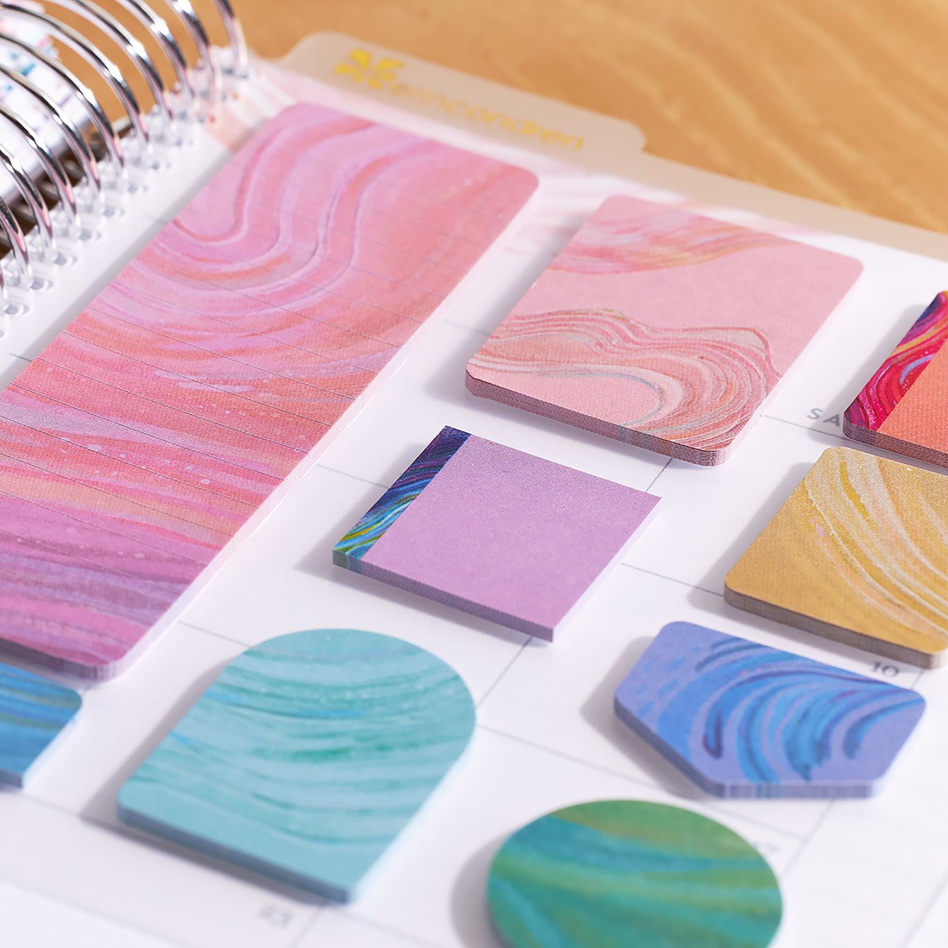 Evolve Universal Snap-In StylizedSticky™ Notes | Erin Condren