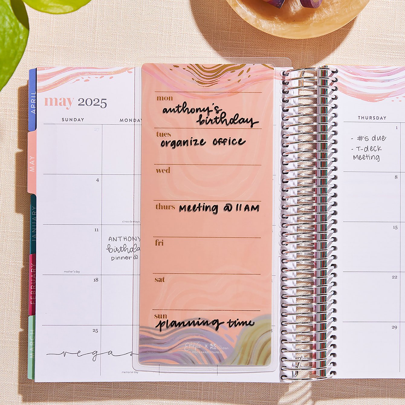 Evolve Universal Snap-In Weekly Dashboard | Erin Condren