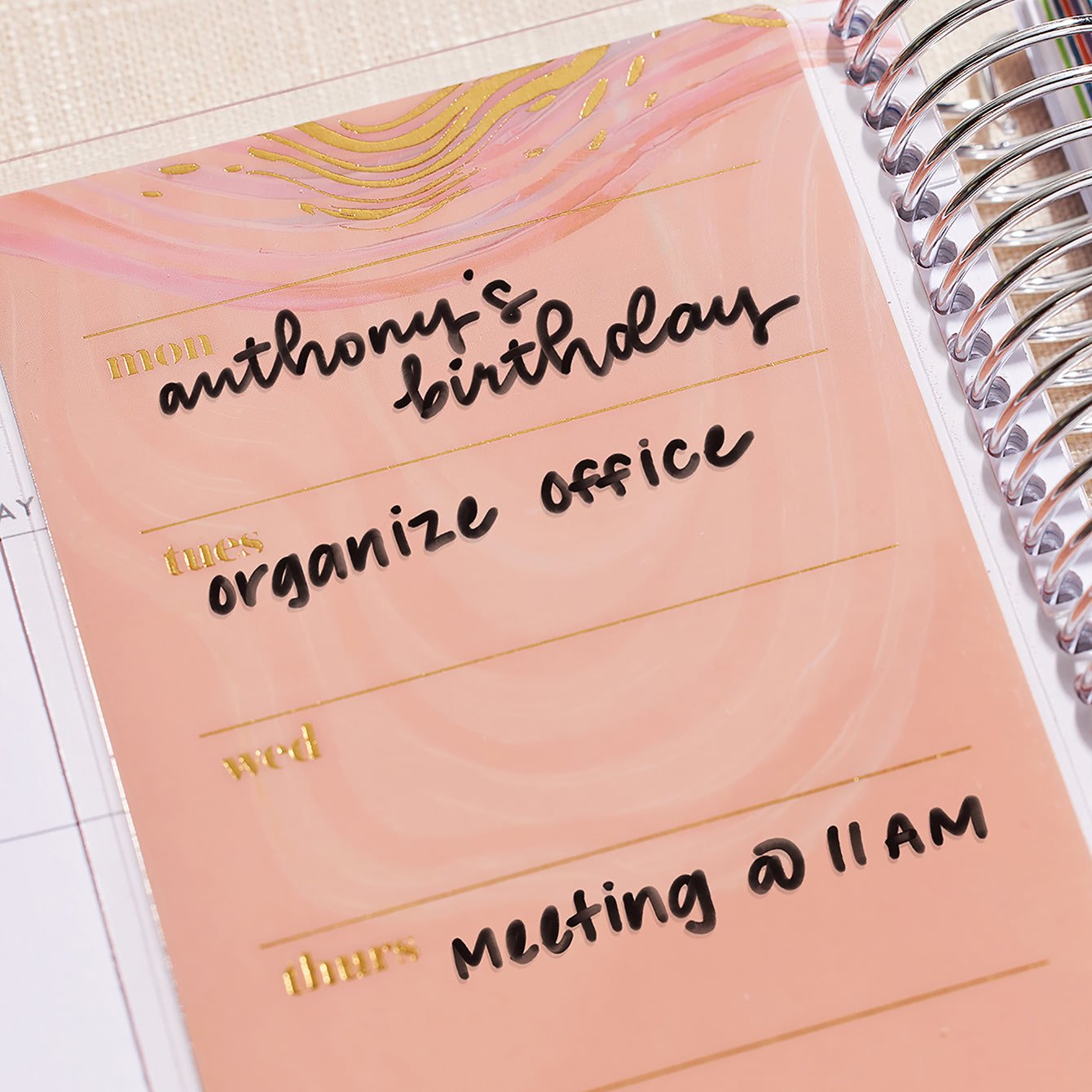 Evolve Universal Snap-In Weekly Dashboard | Erin Condren