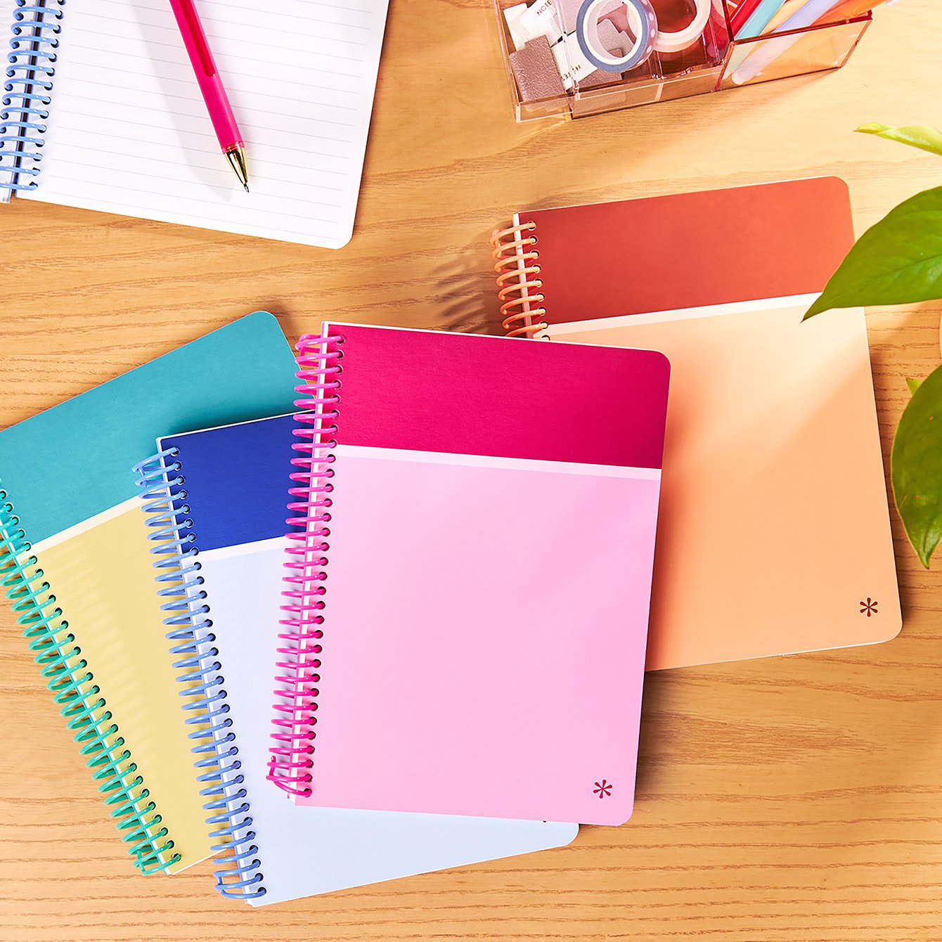 Jungle Compact A5 Spiral Notebook | Erin Condren