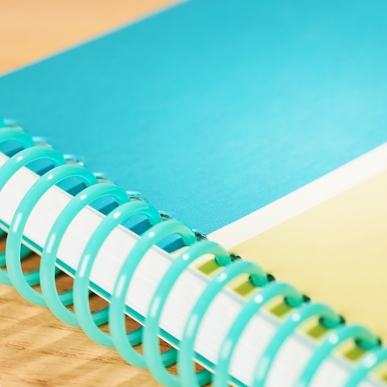 Jungle Compact A5 Spiral Notebook | Erin Condren