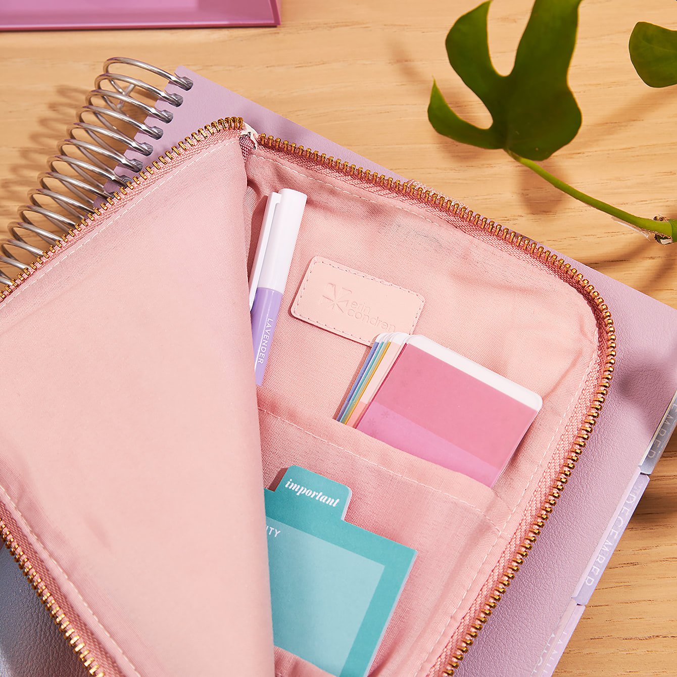 Pastel Essentials Ultimate Planny Pack | Erin Condren