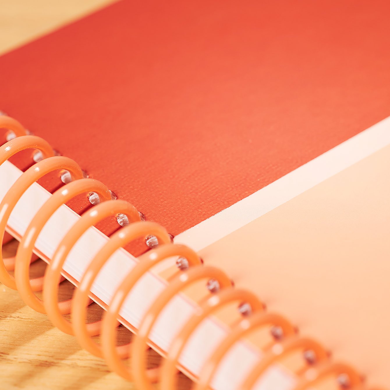 Sunrise Compact A5 Spiral Notebook | Erin Condren