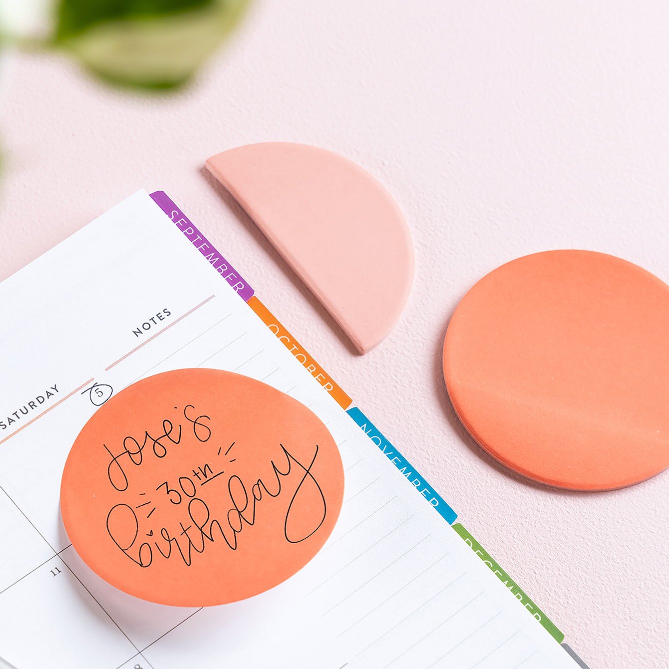 Modern Geometric Notebook Bundle | Erin Condren