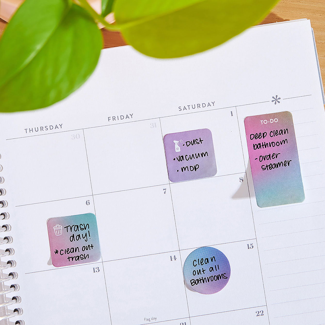 Mini Functional Sticky Notes Box Set | Erin Condren