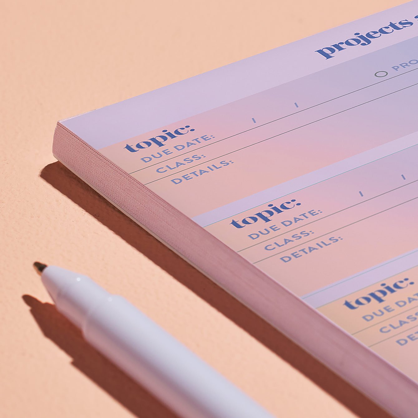 Projects and Exams Notepad | Erin Condren