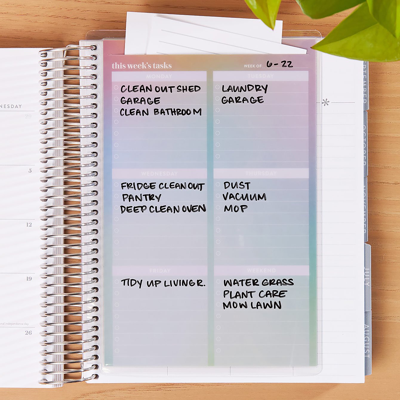 Spring Cleaning Pocket Dashboard | Erin Condren