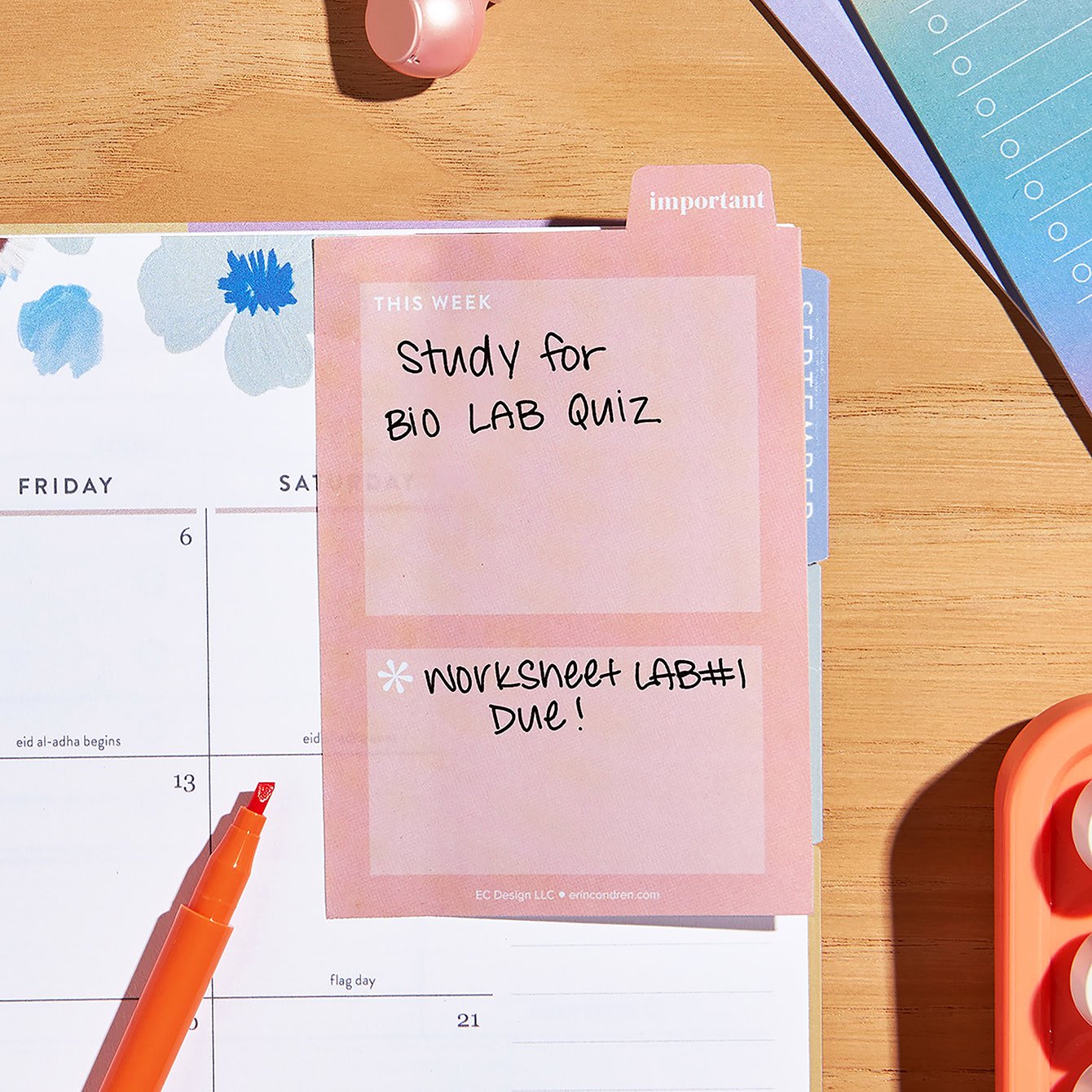 Student Tabbed Sticky Notes 3-Pack | Erin Condren