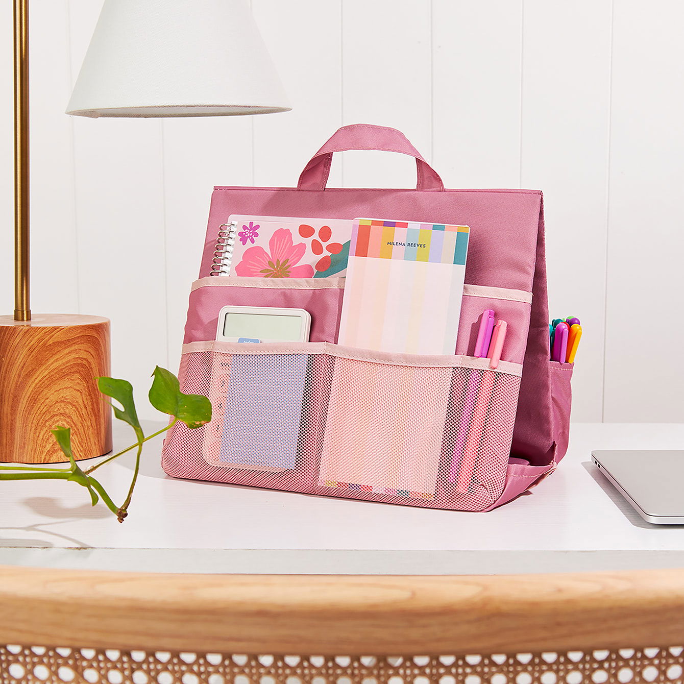 Stand Up Organizer Caddy | Erin Condren