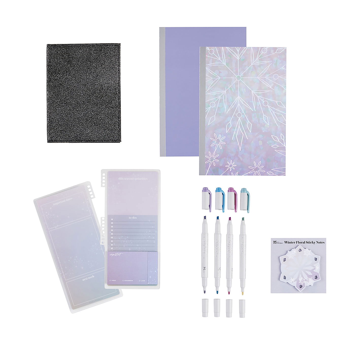 Special Edition Winter Sparkle Bundle | Erin Condren