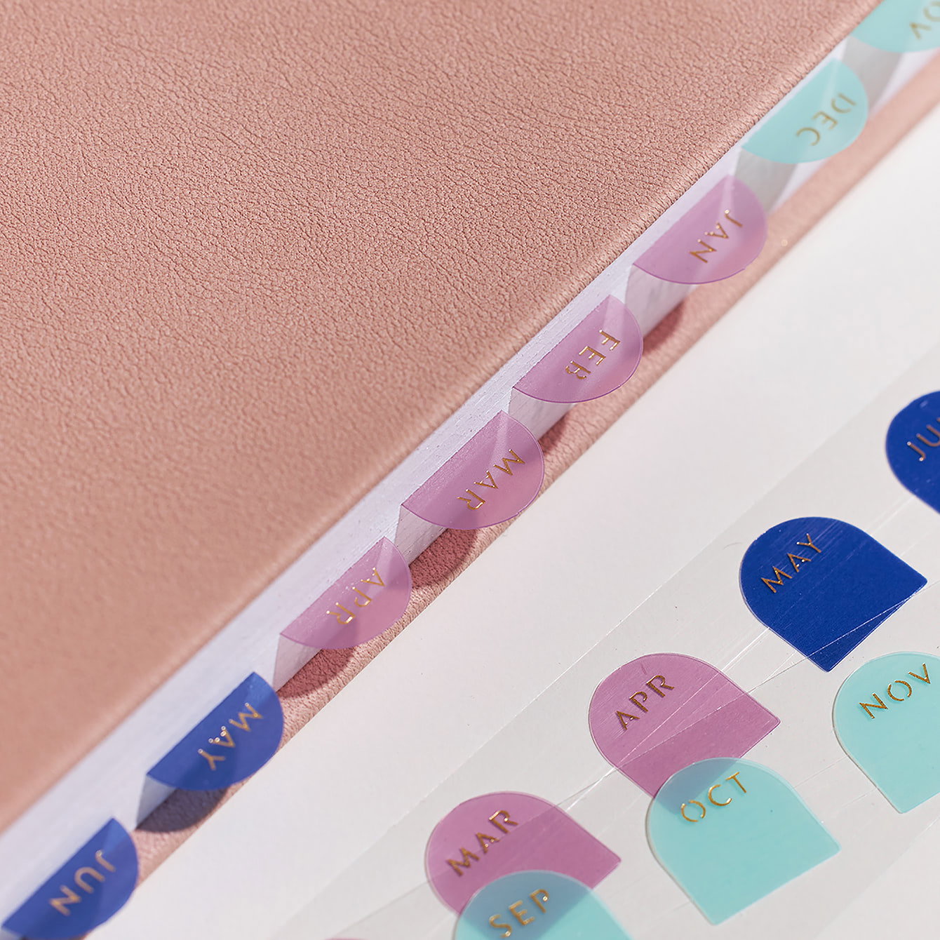 Monthly Adhesive Tabs | Erin Condren