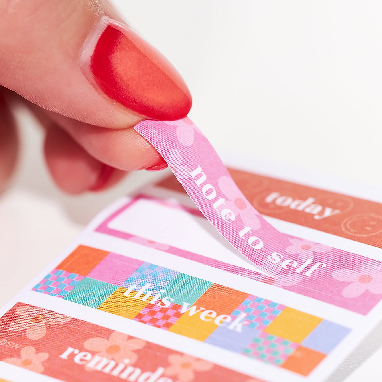 SmileyWorld® Sticker Book Fan | Erin Condren