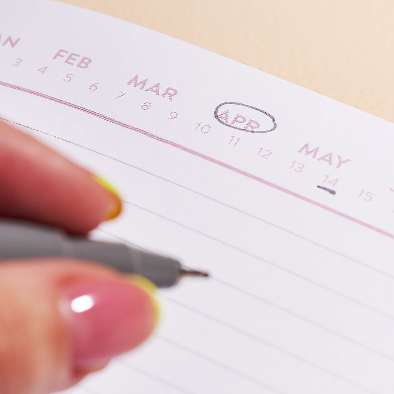 Paperback Notebook Bundle | Erin Condren