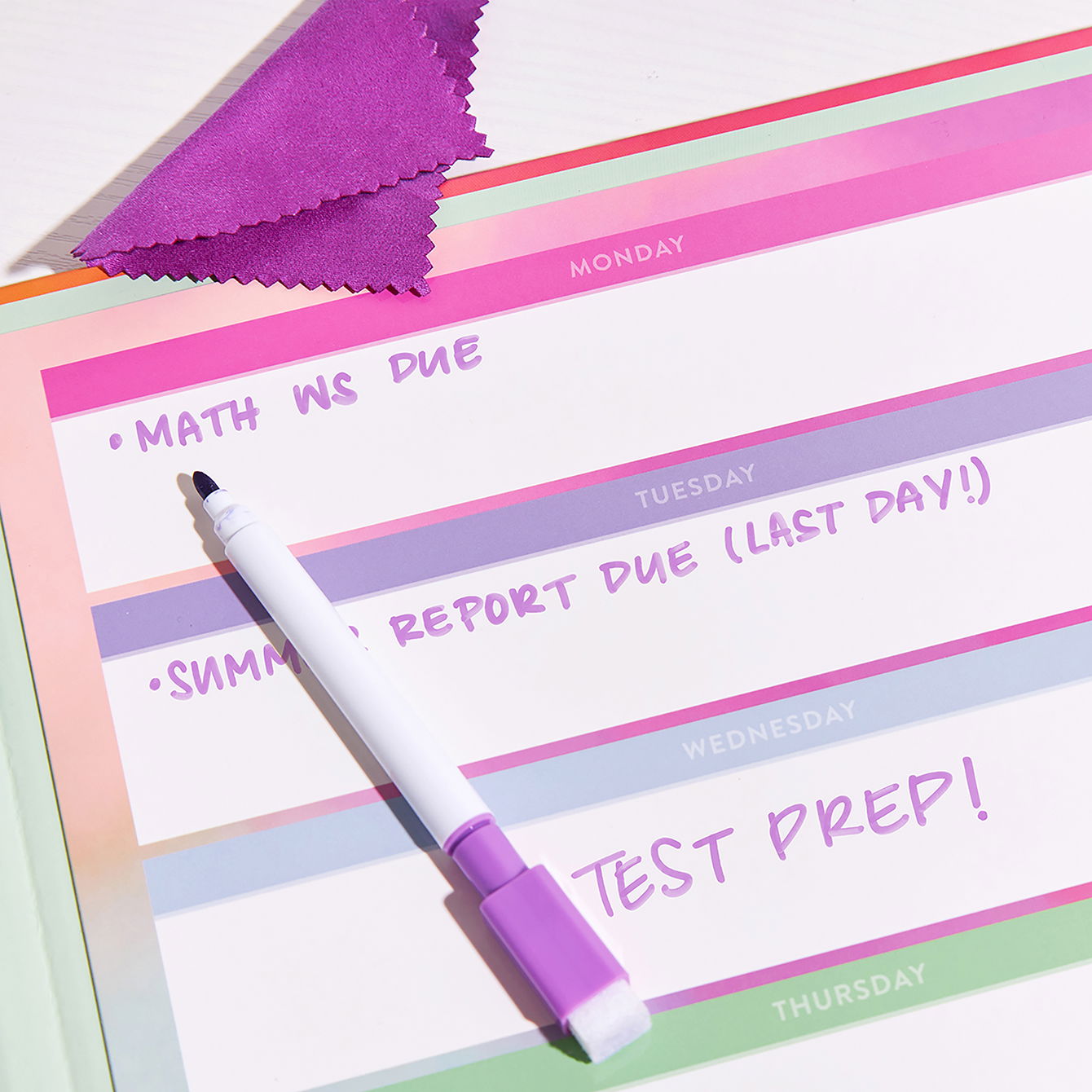 Whiteboard Clipfolio Set | Erin Condren