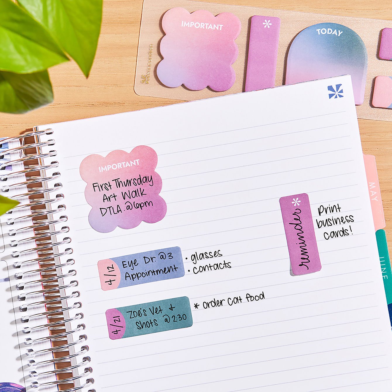 Mini Colorful Sticky Notes Pack | Erin Condren