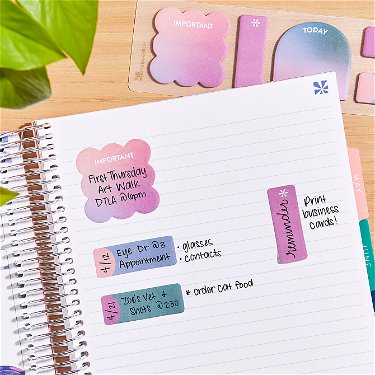 Mini Colorful Sticky Notes Pack | Erin Condren