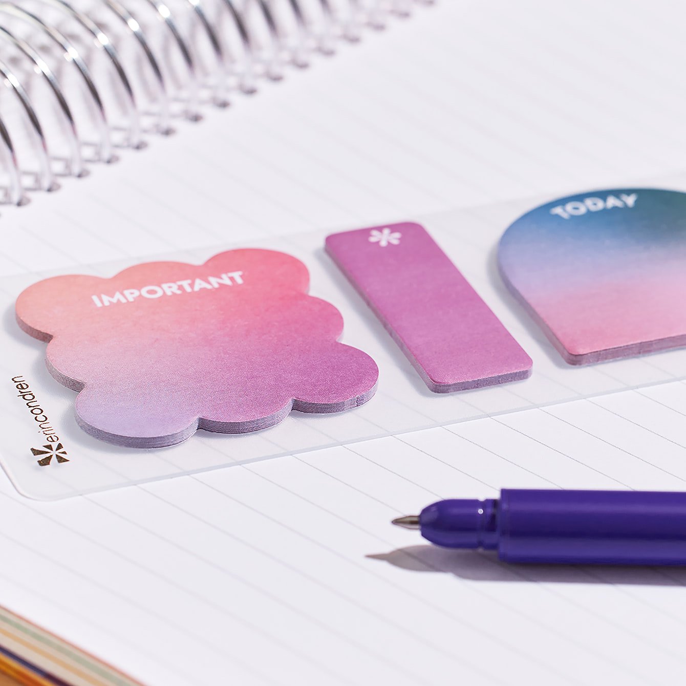 Mini Colorful Sticky Notes Pack | Erin Condren