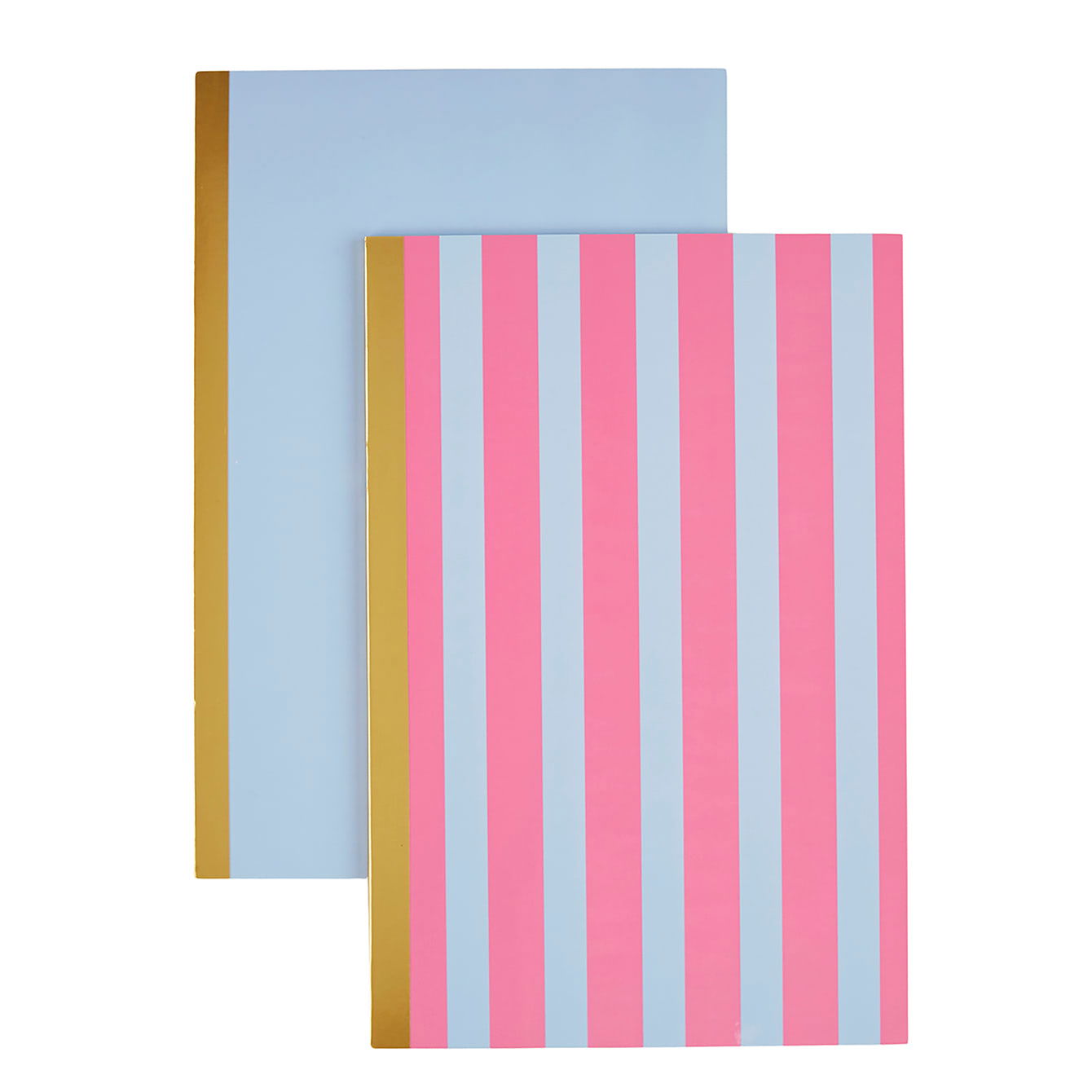 Summer Metallic Spine Notebook Duo | Erin Condren