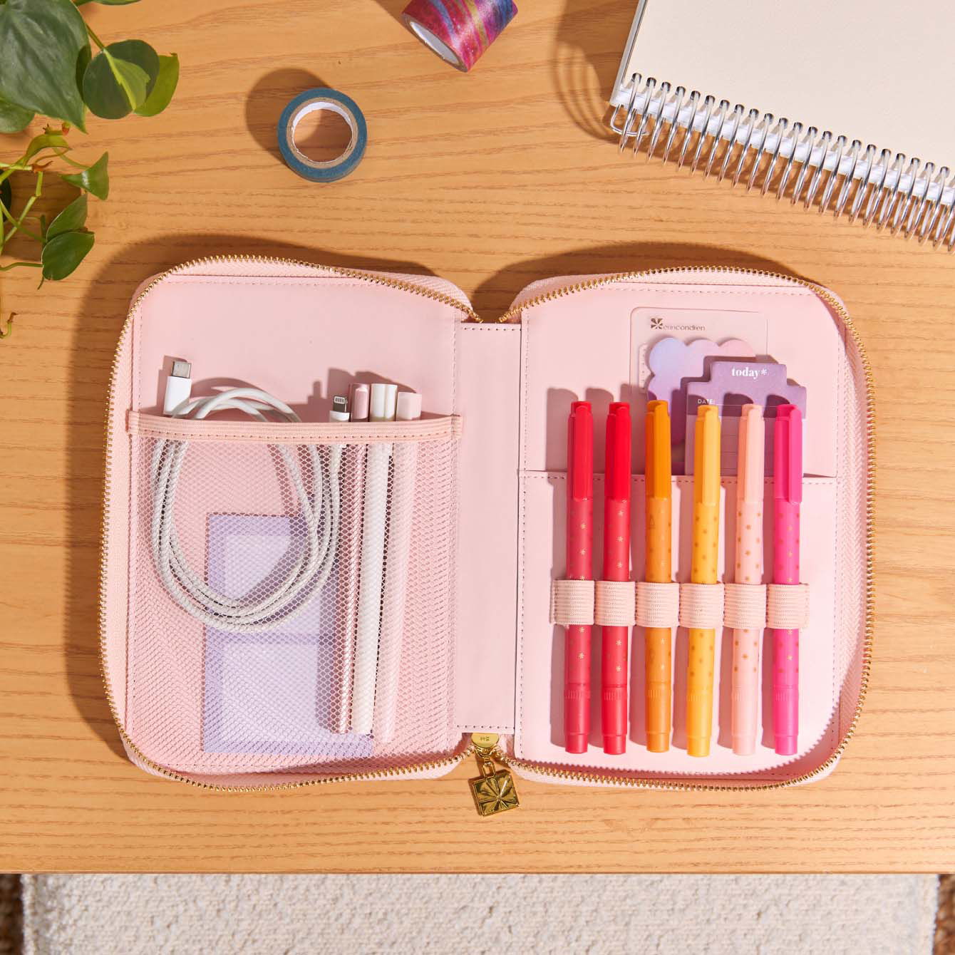 Blush Asterisk Premium Planny Pack | Erin Condren