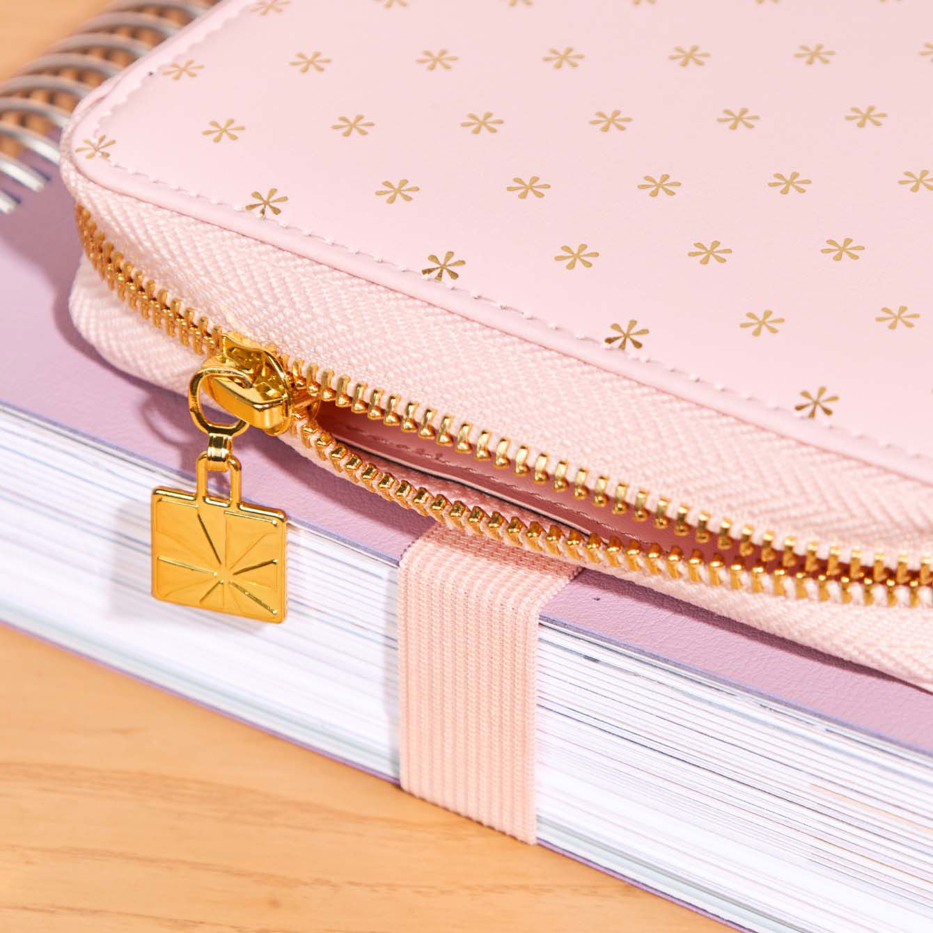 Blush Asterisk Premium Planny Pack | Erin Condren