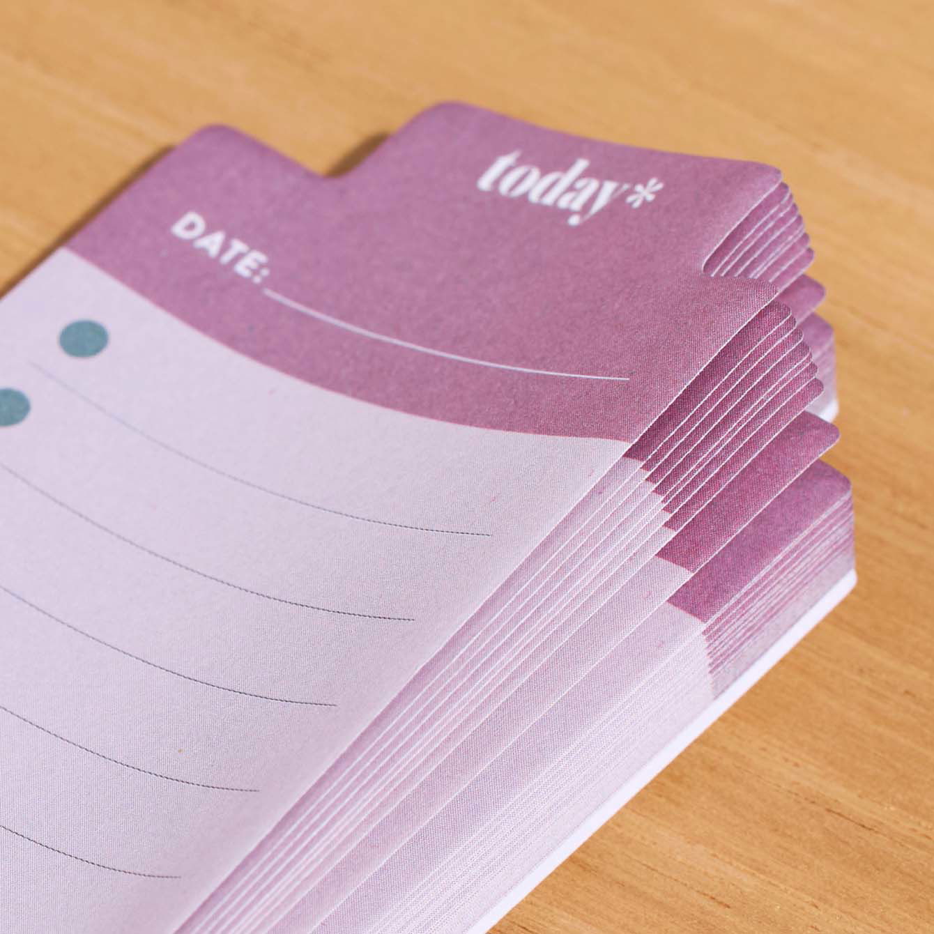 Daily Checklist Bookmark Sticky Notes | Erin Condren