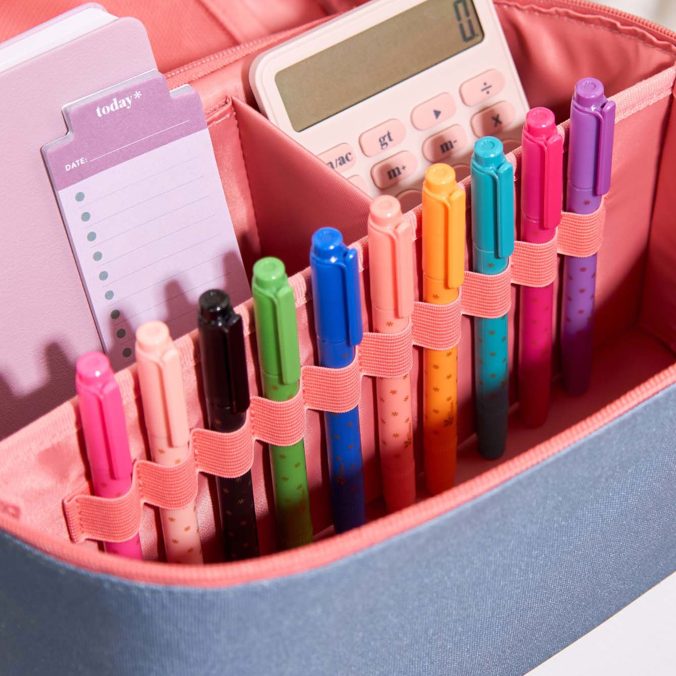 Sapphire Medium Organizer Case | Erin Condren