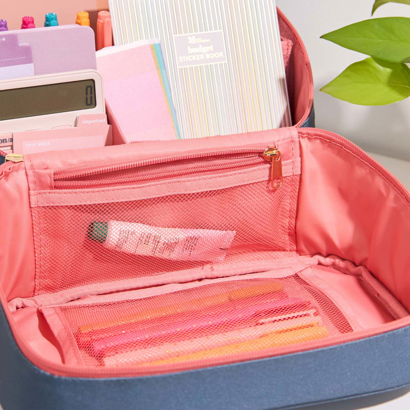 Sapphire Medium Organizer Case | Erin Condren