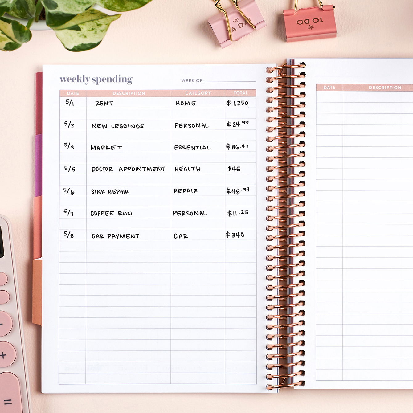 Asterisk Budget Planning Bundle | Erin Condren | Erin Condren