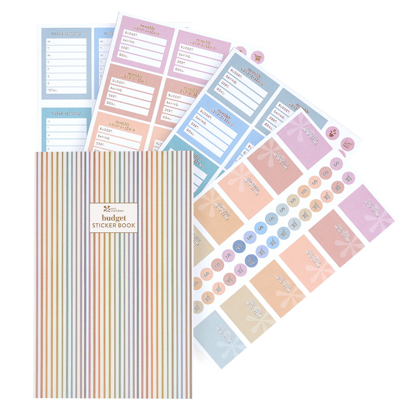 Asterisk Budget Planning Bundle | Erin Condren | Erin Condren