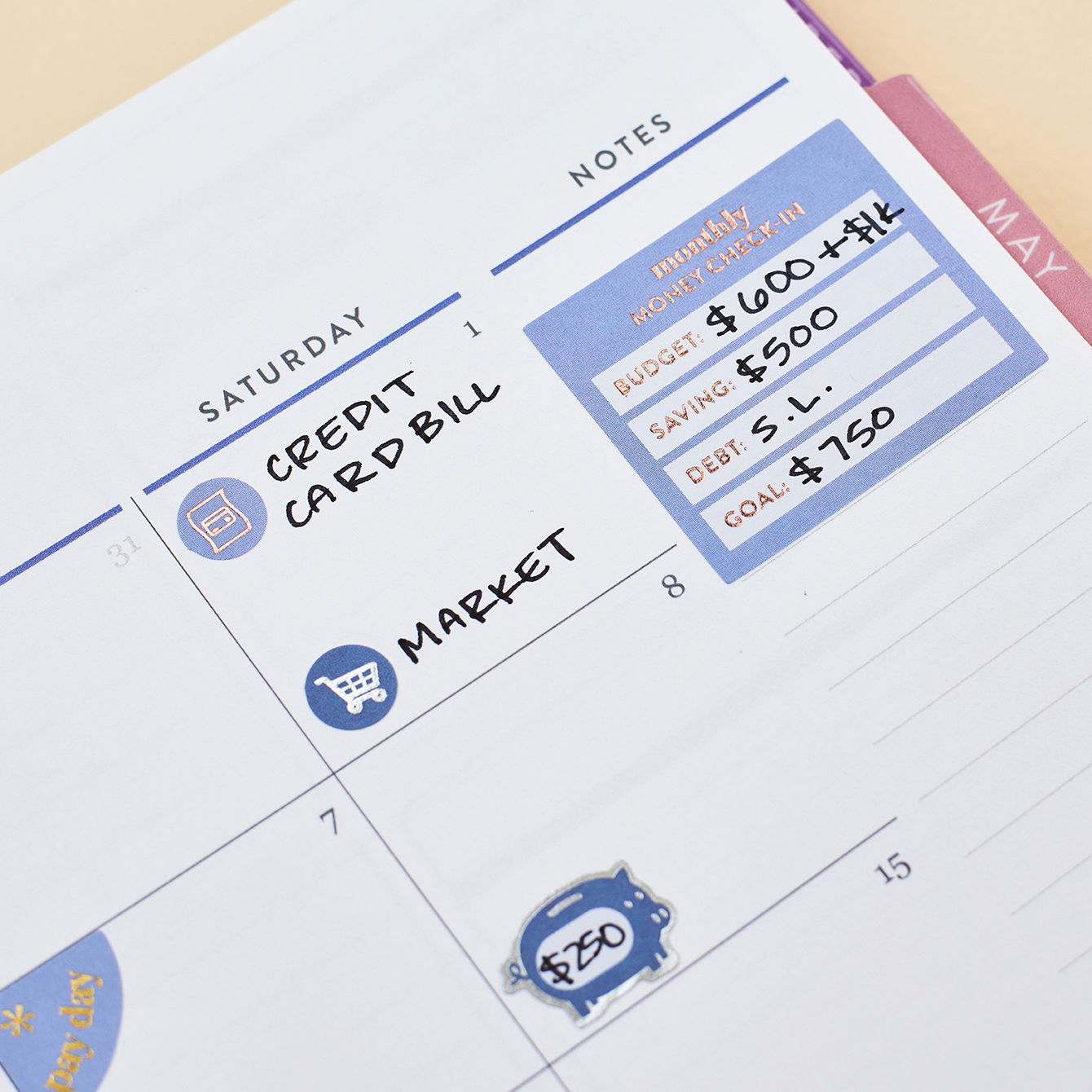 Asterisk Budget Planning Bundle | Erin Condren | Erin Condren