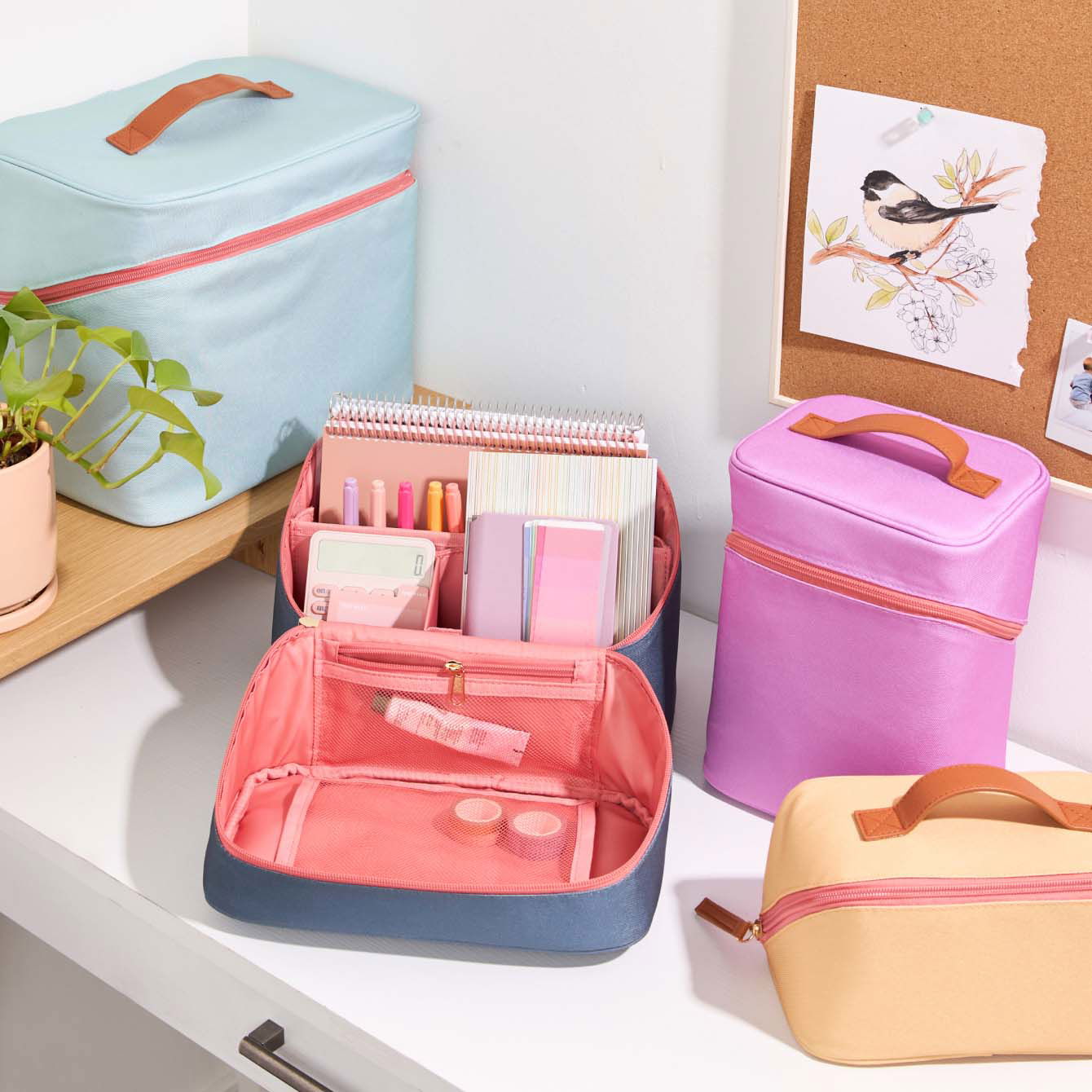 Colorful Organizer Case Bundle | Erin Condren