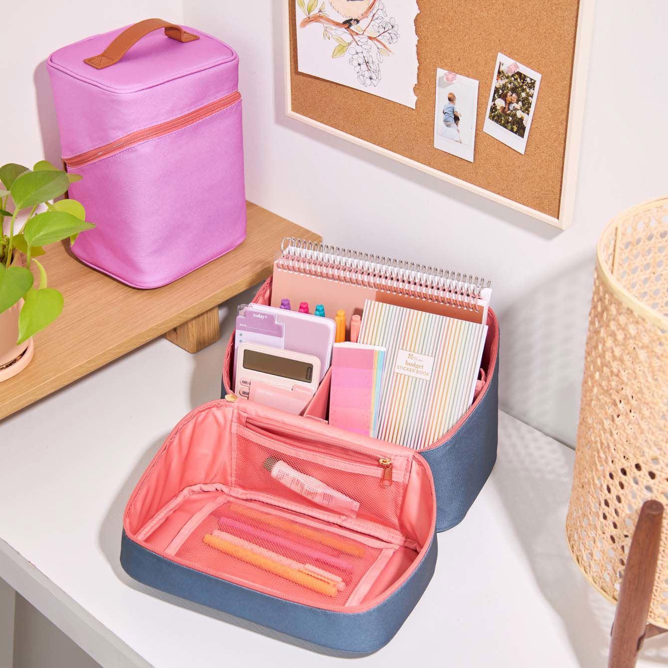 Colorful Organizer Case Bundle | Erin Condren